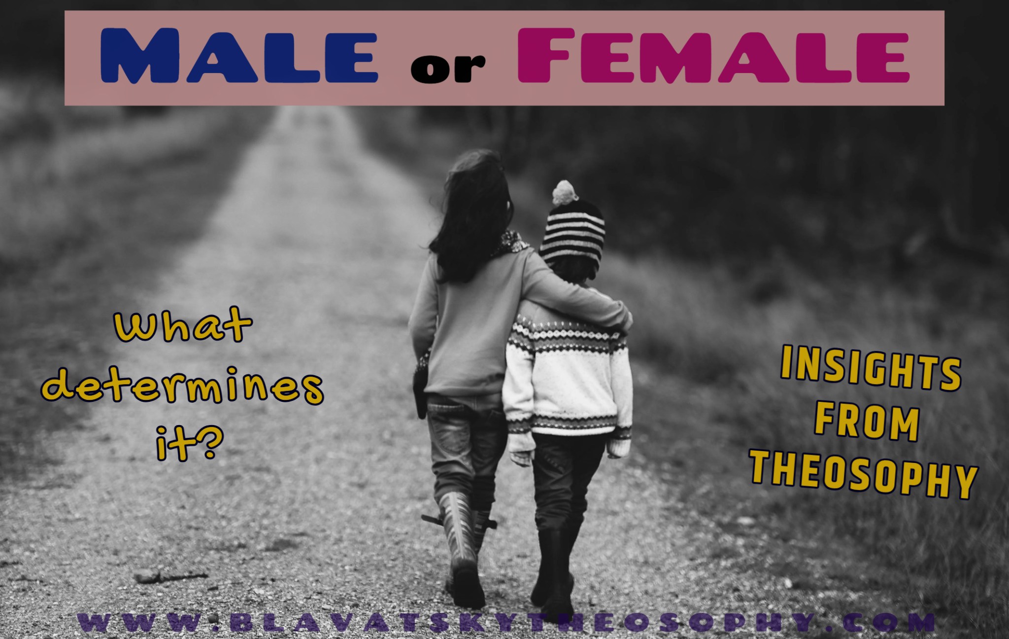 Male or Female – What Determines It? – T H E O S O P H Y